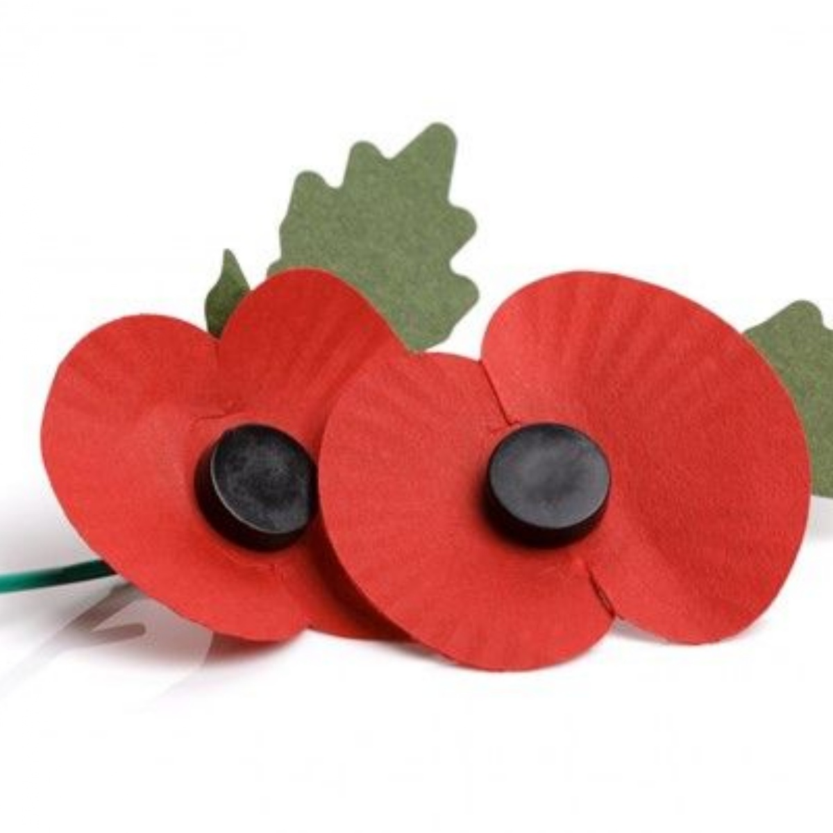 Queensmead Primary Academy - Royal British Legion - Poppy Appeal