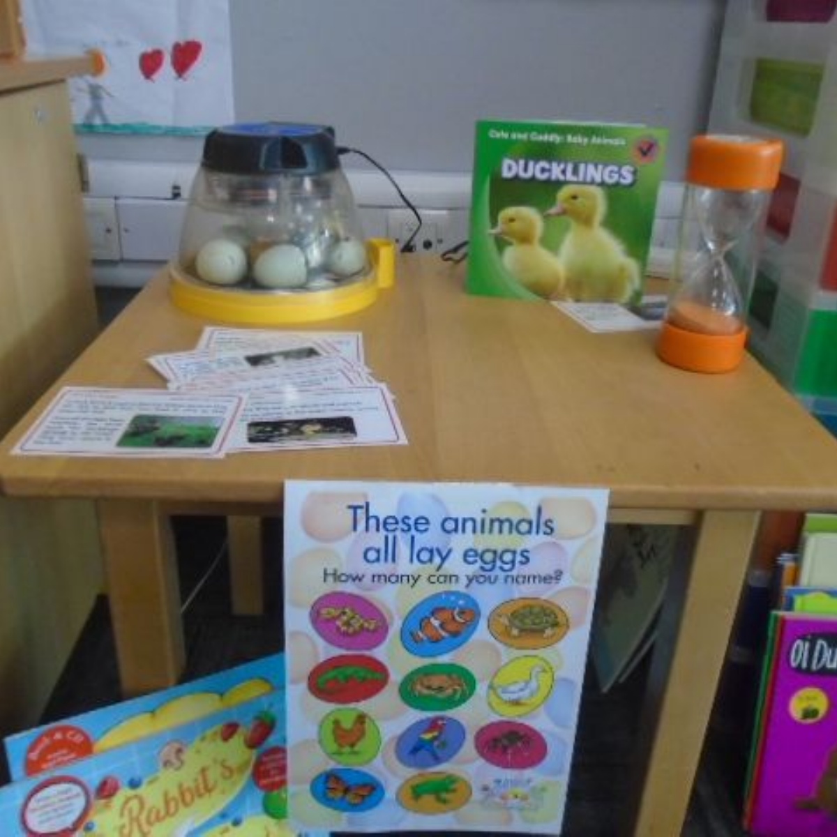 Queensmead Primary Academy - EYFS - Duckling Eggs
